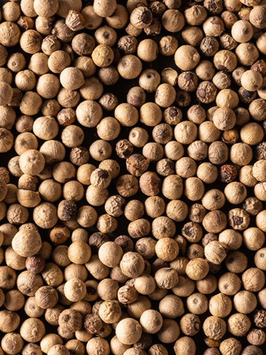 Peugeot Sarawak witte peper - 80g (4*20g) | Profilec.be